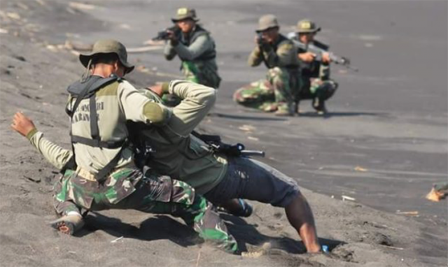 Batalyon Intai Amfibi Korps Marinir, Pasukan Tempur Operasi Amfibi TNI AL