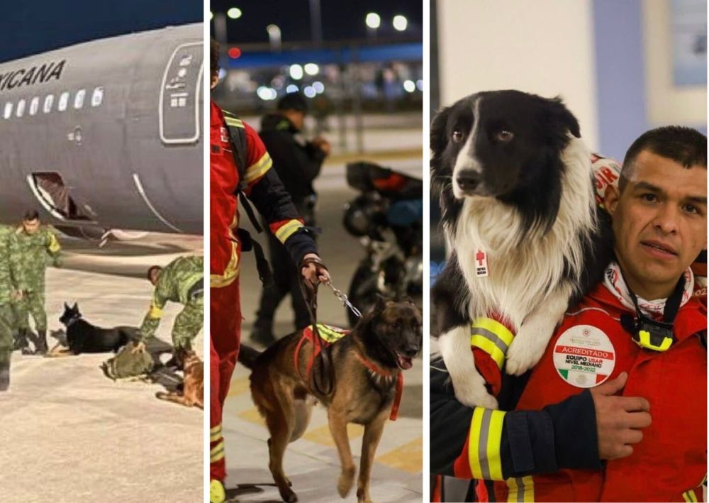 Meksiko mengirim Tim SAR dan kelompok anjing terkenalnya ke Turkiye